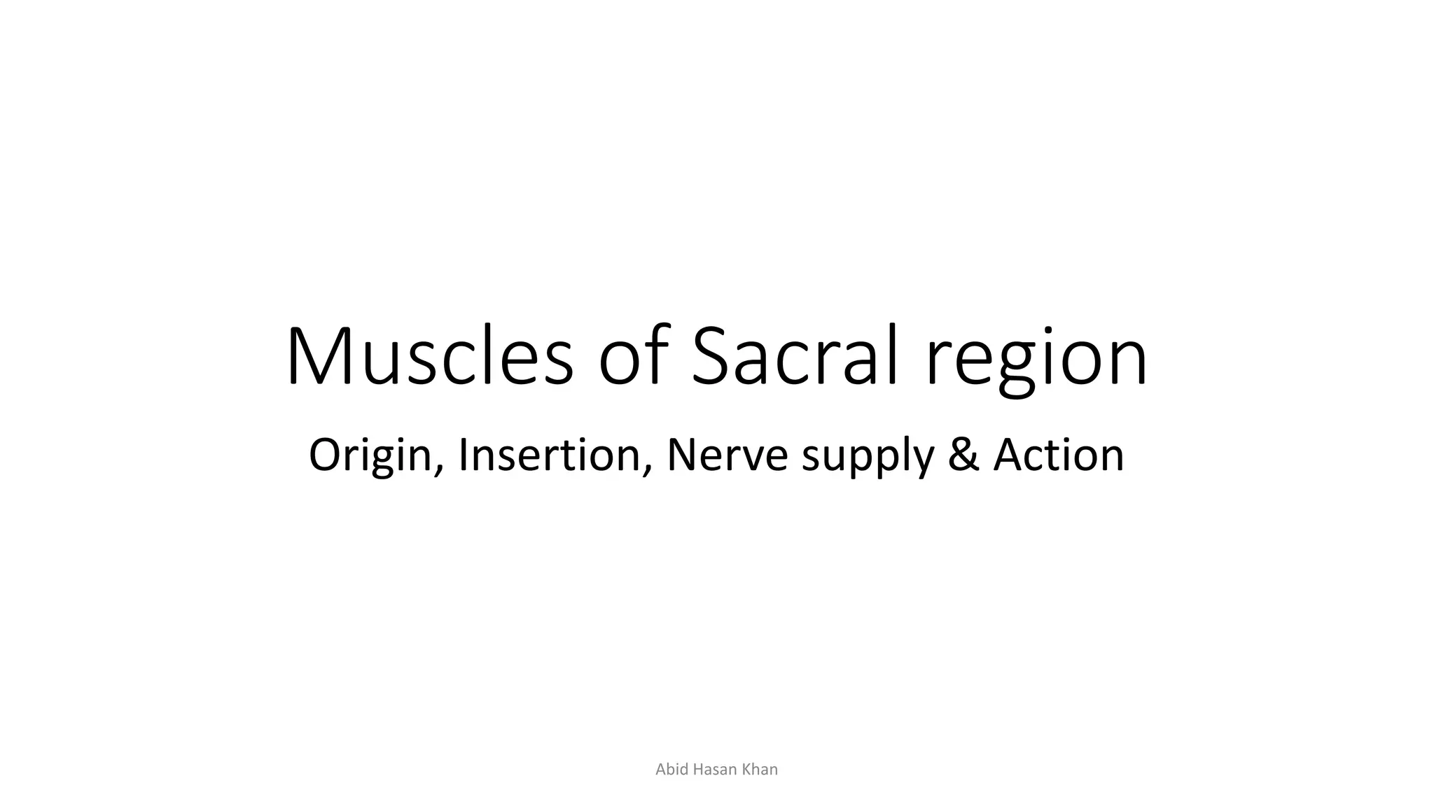 Muscles of sacral region | PPT