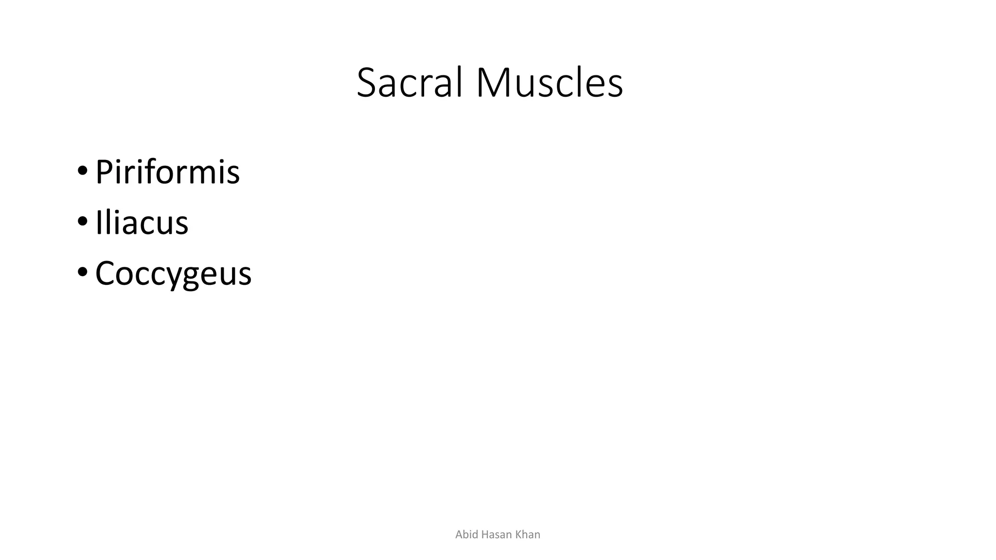 Muscles of sacral region | PPT