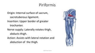 Muscles of sacral region | PPT