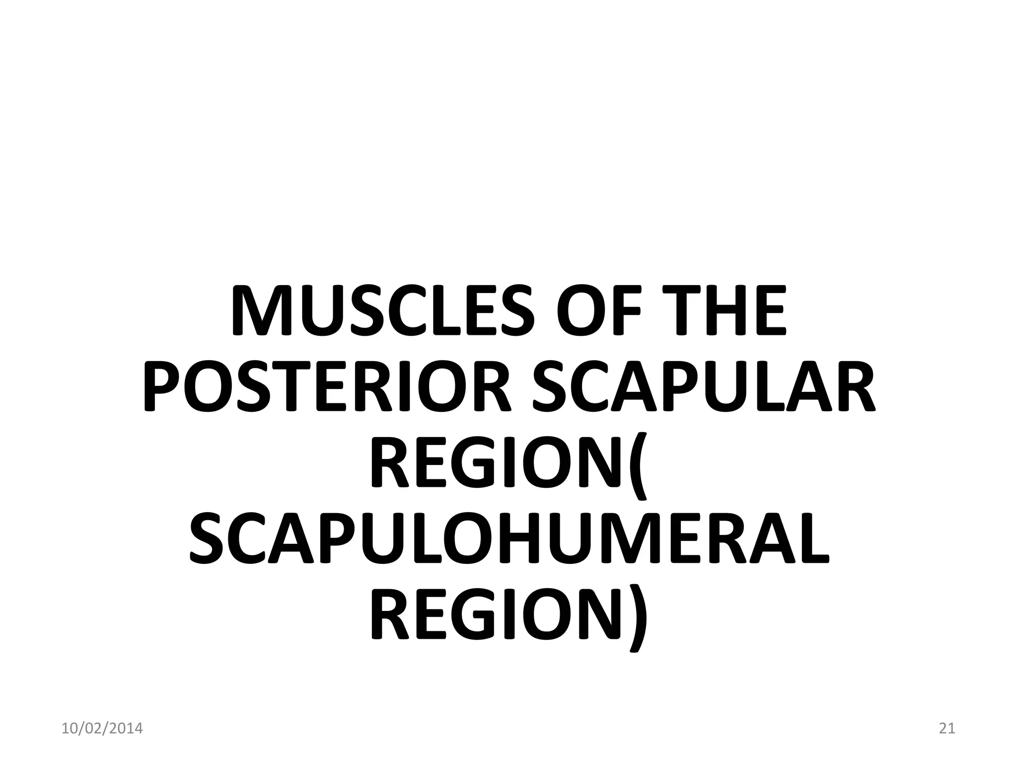 Muscles of shoulder | PPTX
