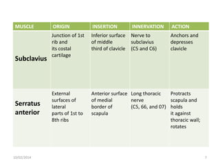 Muscles of shoulder | PPTX