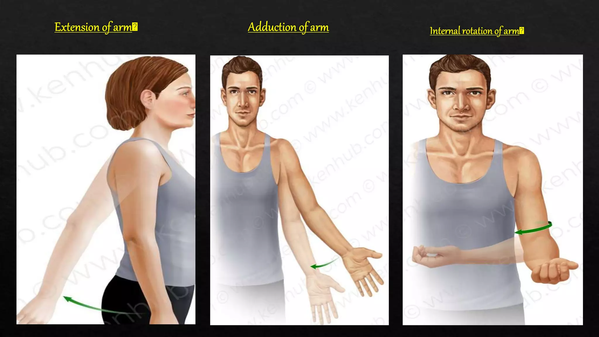 Major muscles of the back- Made Easy.pptx
