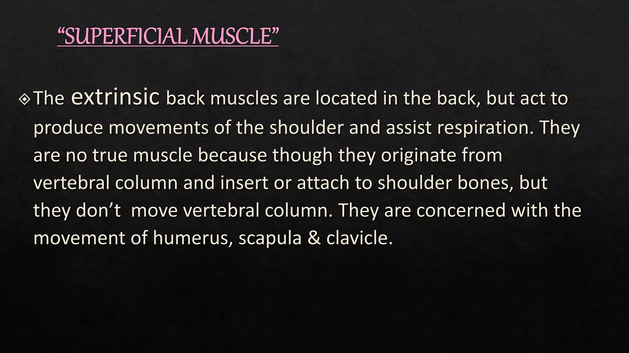 Major muscles of the back- Made Easy.pptx