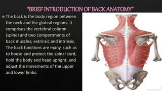 Major muscles of the back- Made Easy.pptx