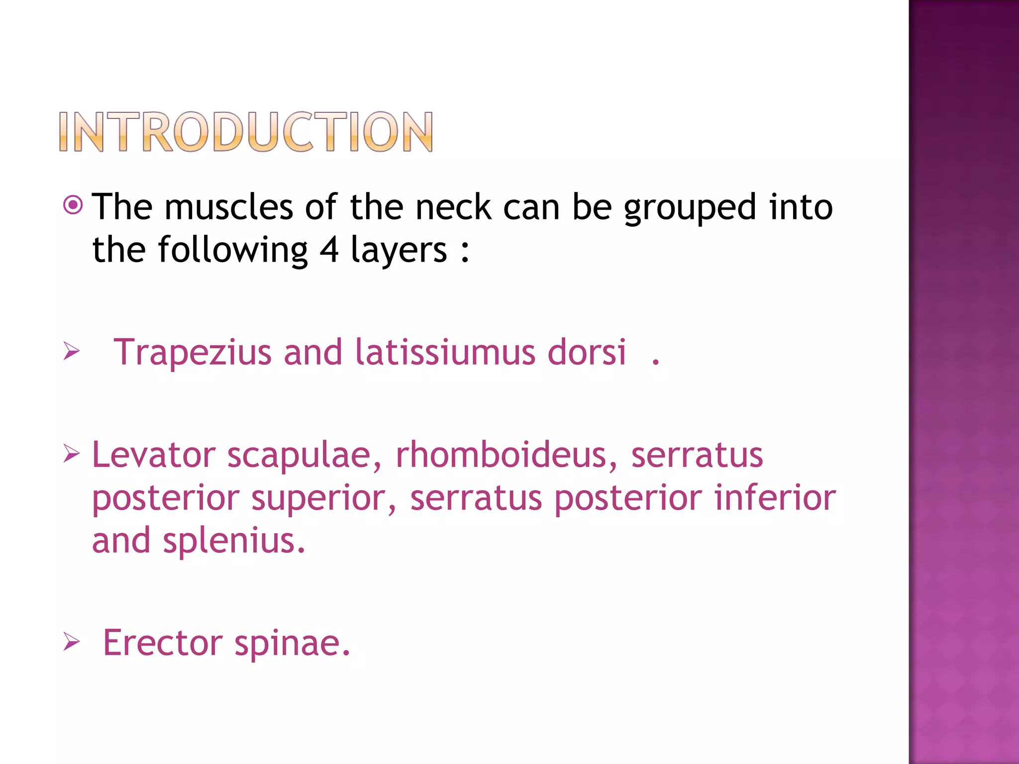 Muscles of the back | PPT