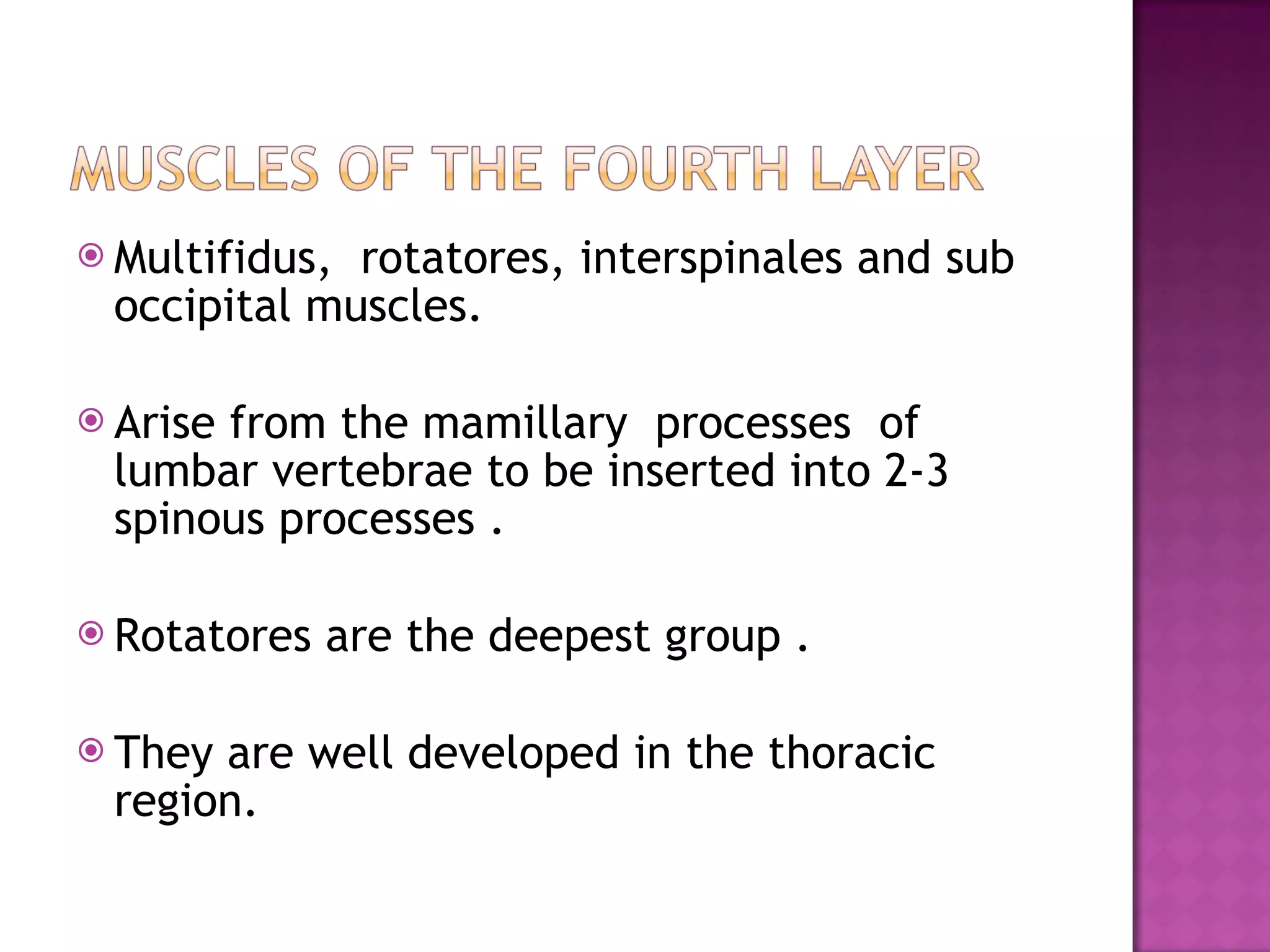 Muscles of the back | PPT