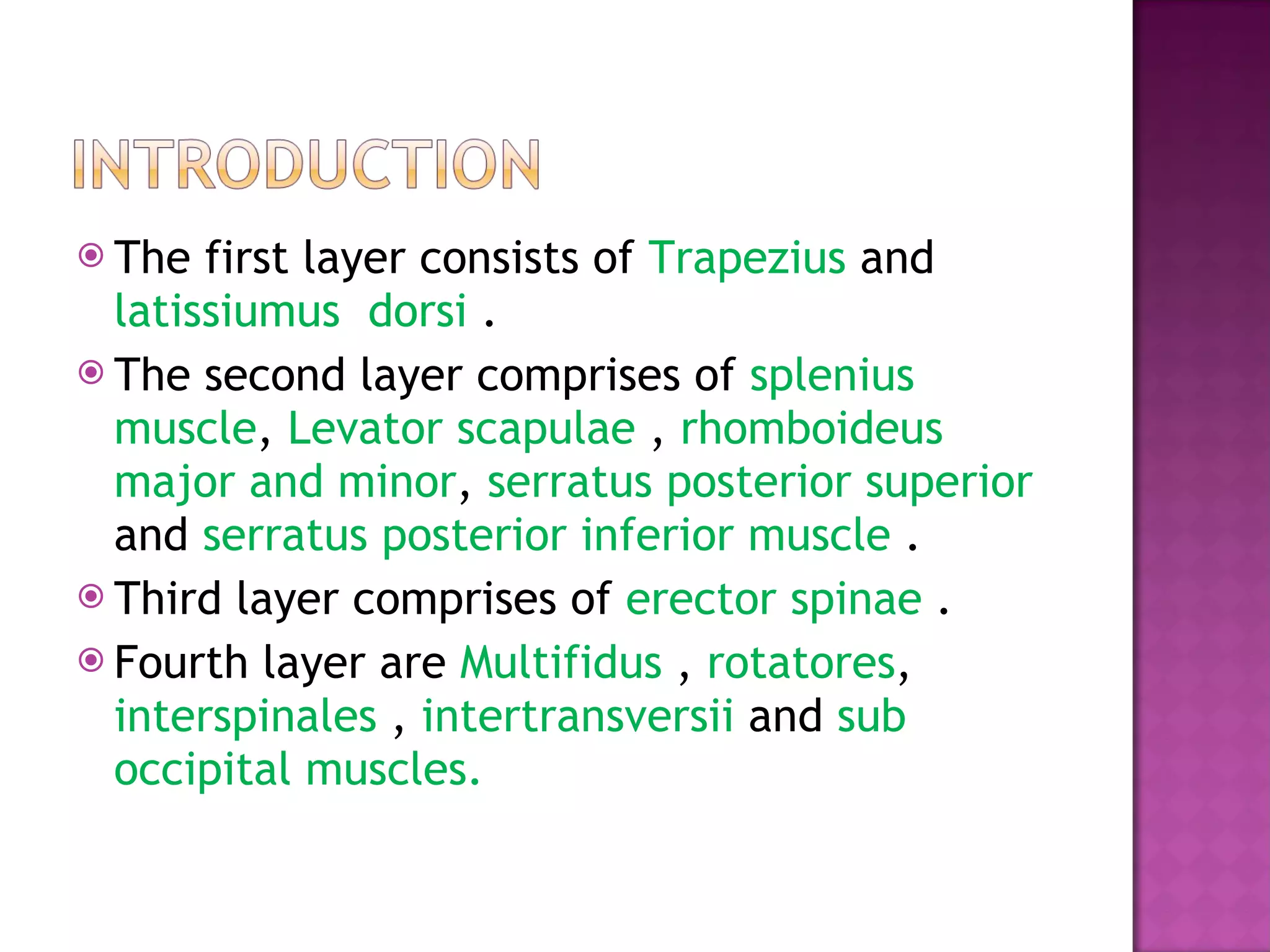 Muscles of the back | PPT
