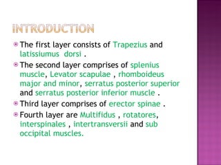 Muscles of the back | PPT