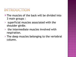Muscles of the back | PPT