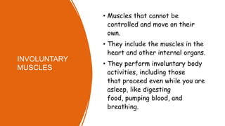 Muscles of the body | PPTX