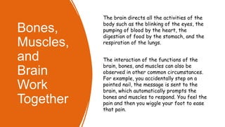 Muscles of the body | PPTX