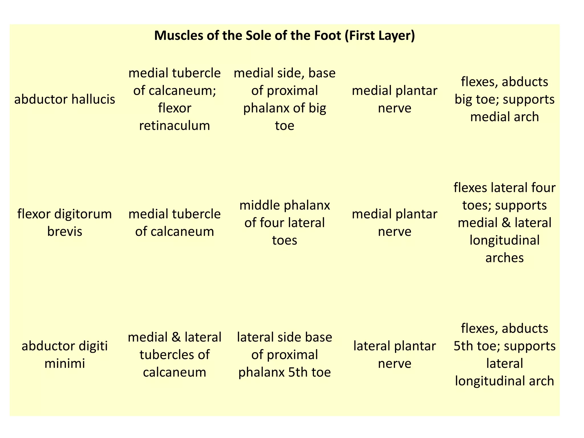 muscles of the foot.pptx