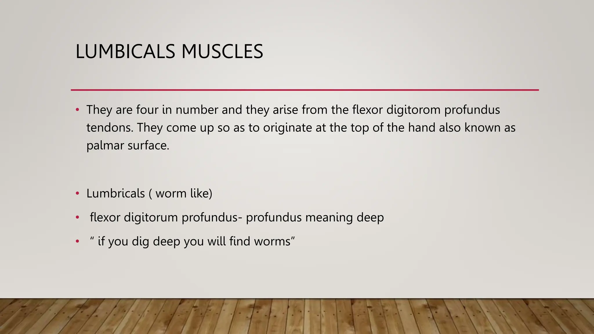 General Anatomy of the muscles of the hand. | PPTX
