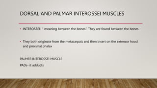 General Anatomy of the muscles of the hand. | PPTX