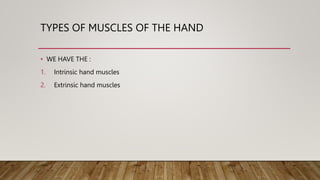 General Anatomy of the muscles of the hand. | PPTX