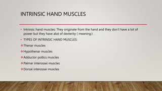 General Anatomy of the muscles of the hand. | PPTX