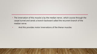 General Anatomy of the muscles of the hand. | PPTX