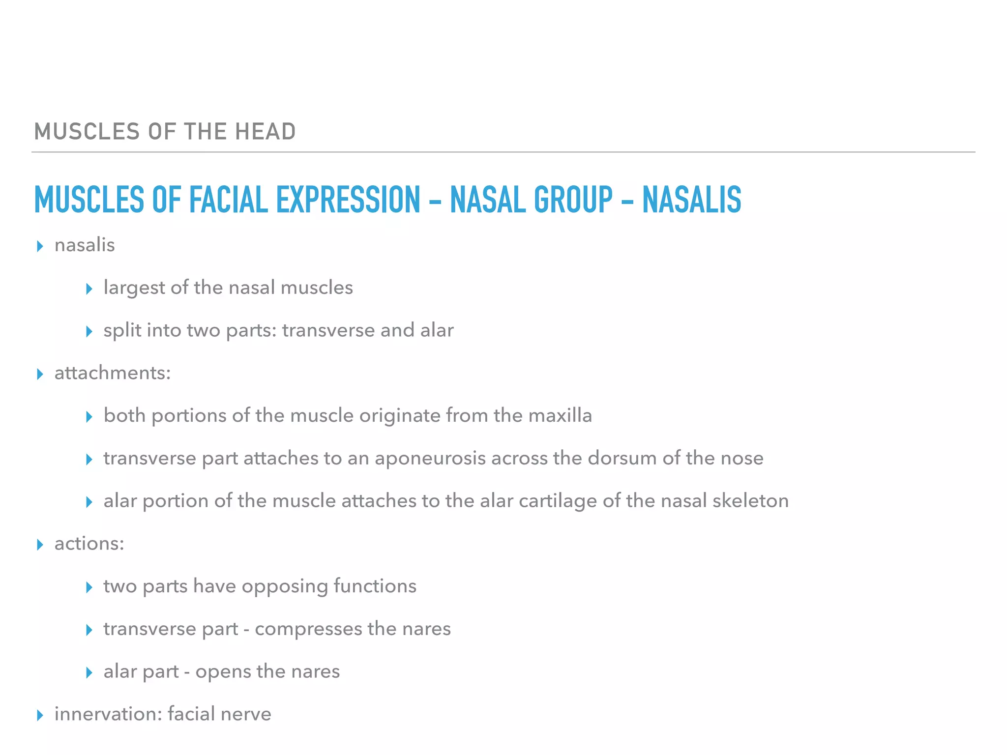 Muscles of the head | PDF