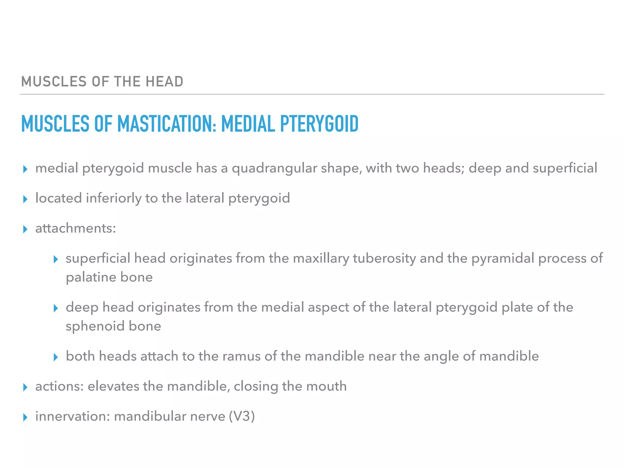 Muscles of the head | PDF