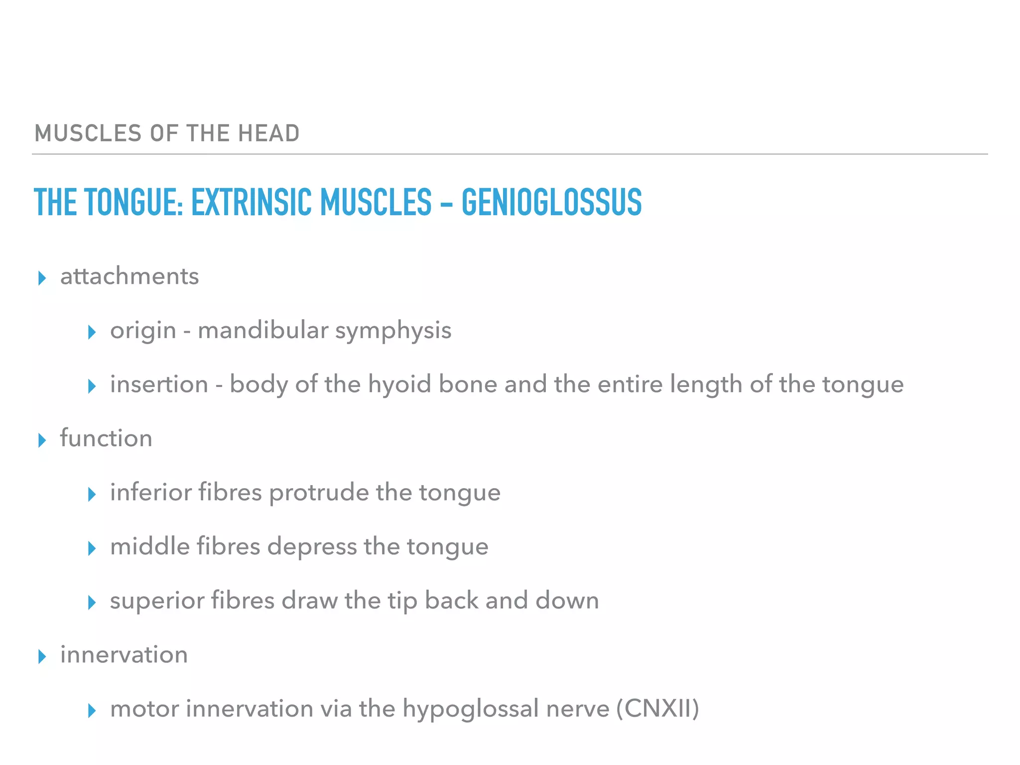 Muscles of the head | PDF