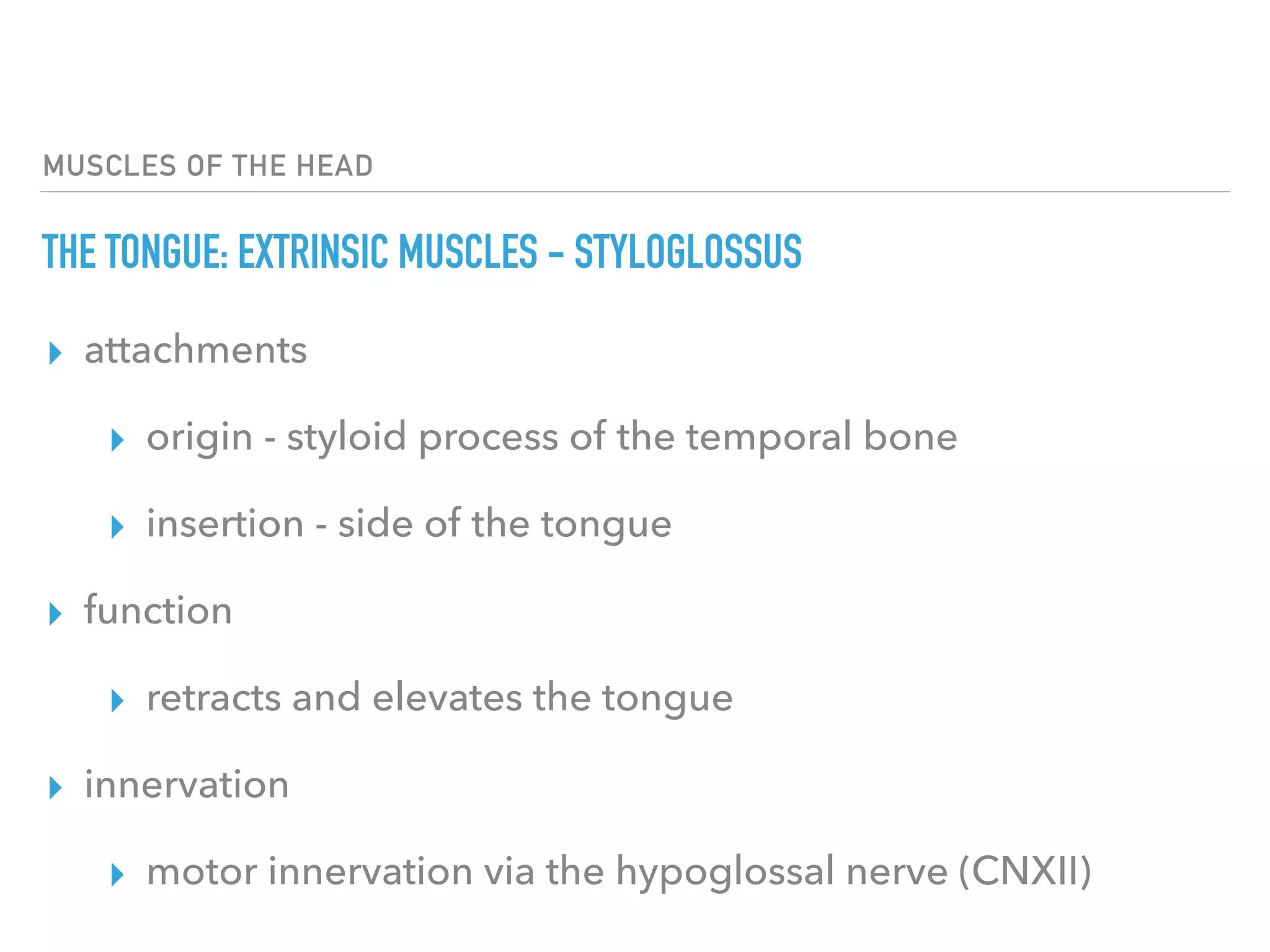 Muscles of the head | PDF