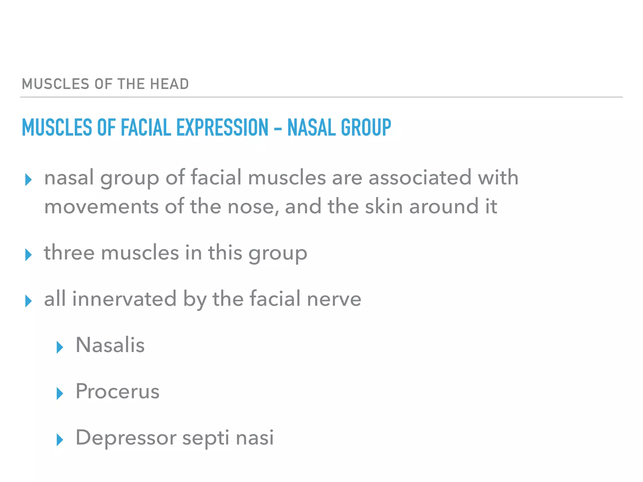 Muscles of the head | PDF