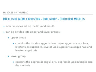Muscles of the head | PDF