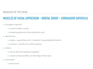 Muscles of the head | PDF
