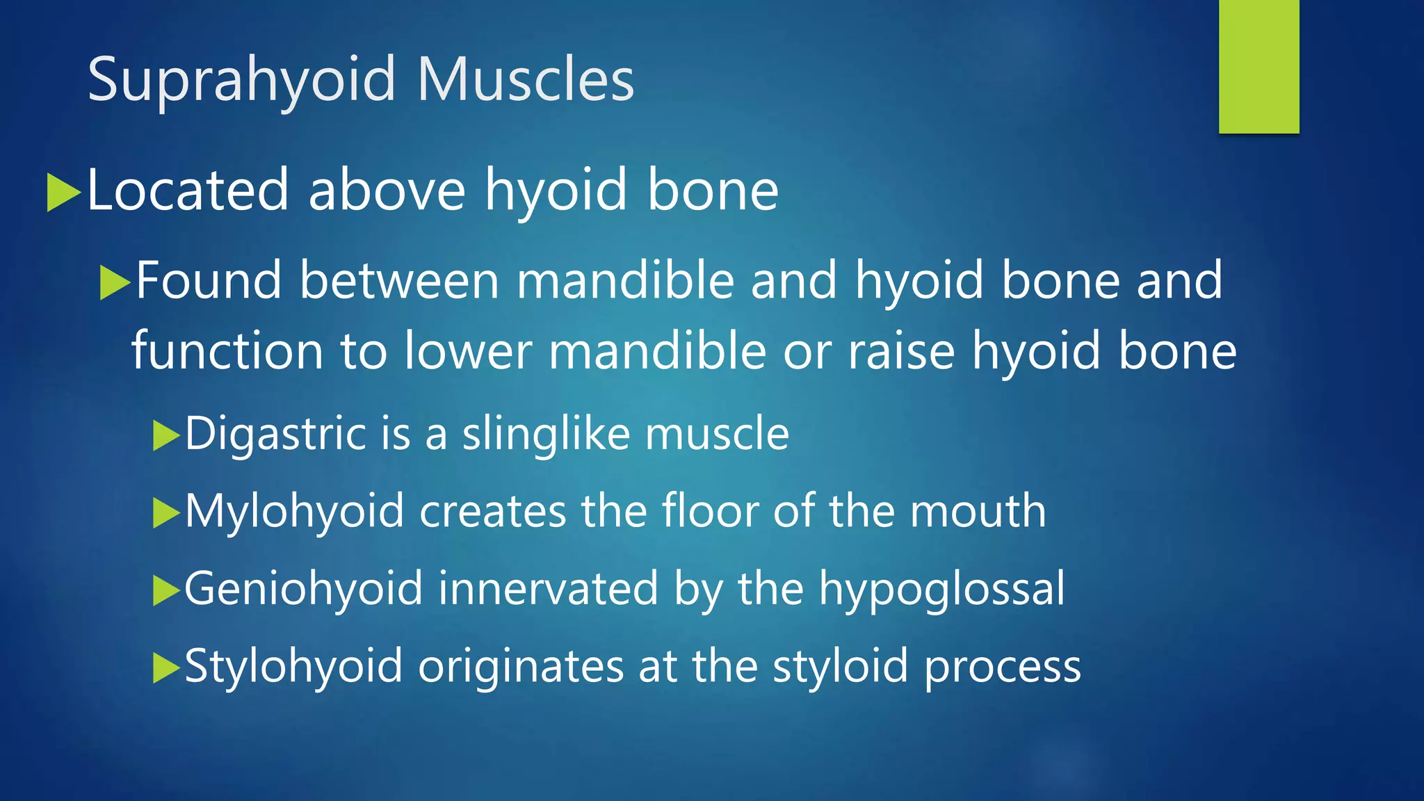 Muscles of the Head and Neck: Mastication, Suprahyoid, Infrahyoid ...