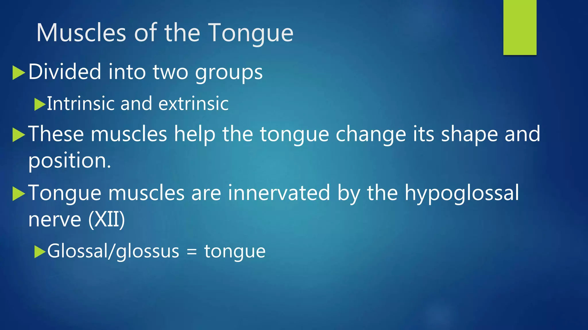Muscles of the Head and Neck: Mastication, Suprahyoid, Infrahyoid ...