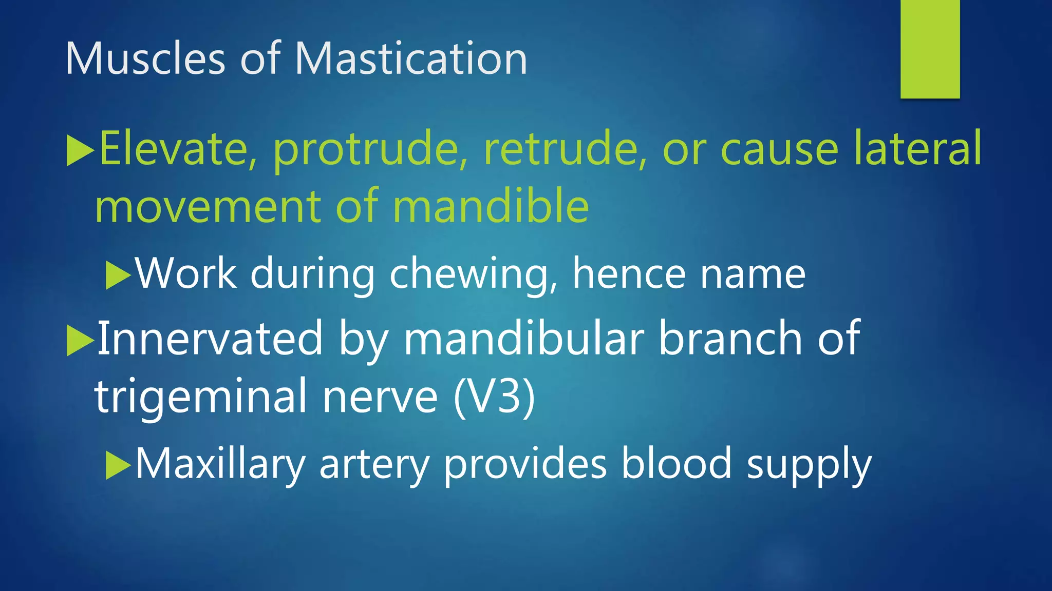 Muscles of the Head and Neck: Mastication, Suprahyoid, Infrahyoid ...