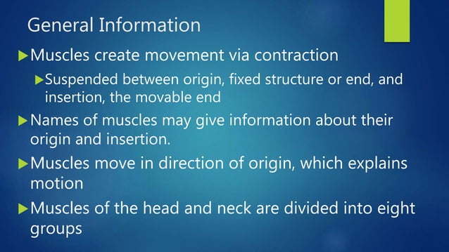 Muscles of the Head and Neck: Mastication, Suprahyoid, Infrahyoid ...