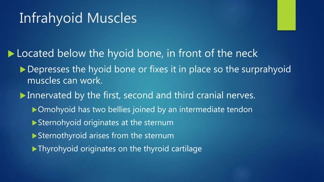 Muscles of the Head and Neck: Mastication, Suprahyoid, Infrahyoid ...