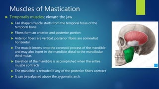 Muscles of the Head and Neck: Mastication, Suprahyoid, Infrahyoid ...