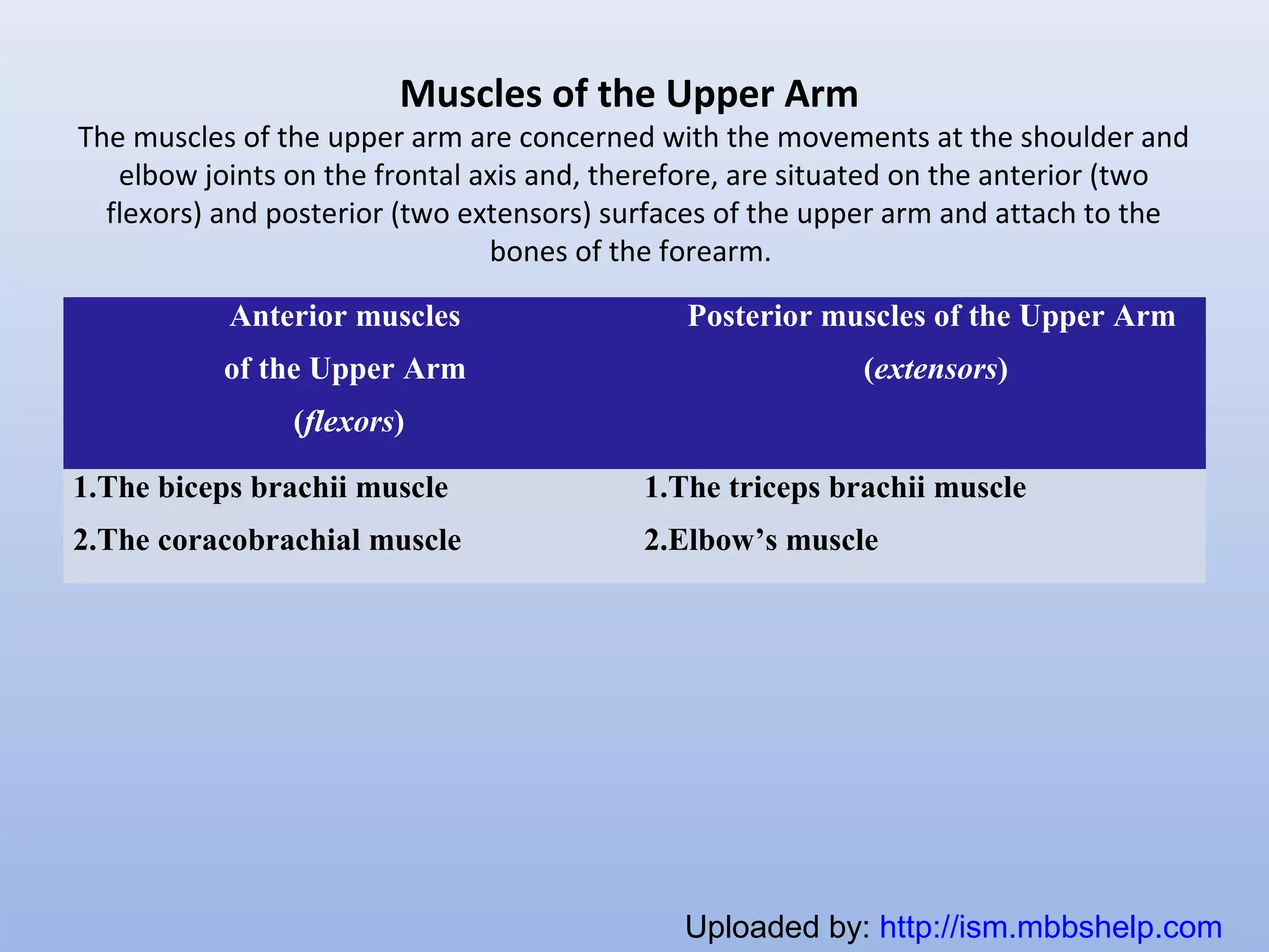 Muscles and Topography of the Upper and Lower Limb | PPT