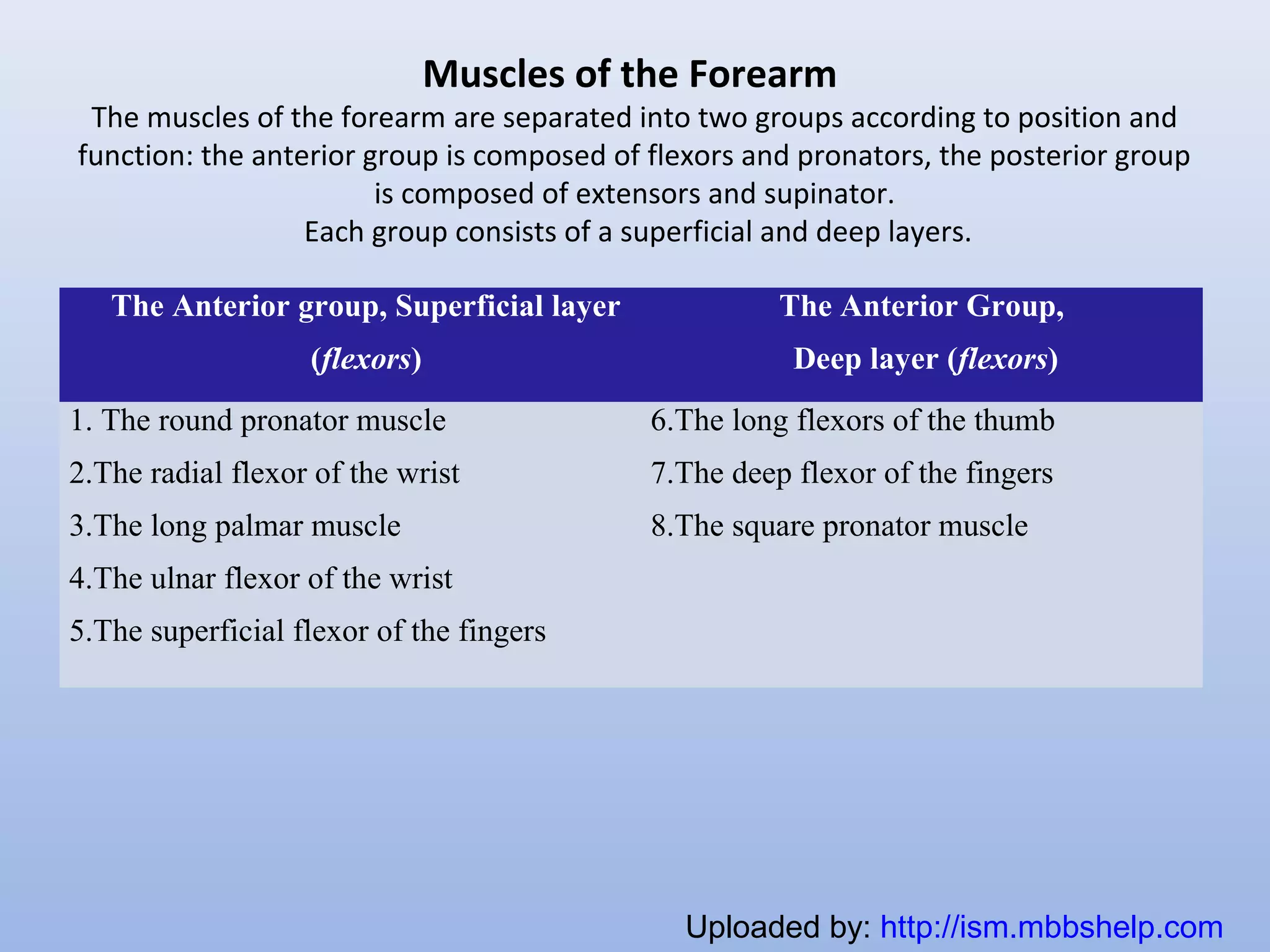 Muscles and Topography of the Upper and Lower Limb | PPT