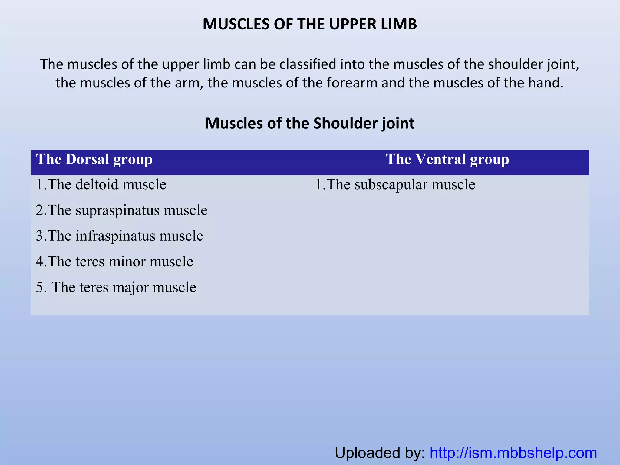 Muscles and Topography of the Upper and Lower Limb | PPT