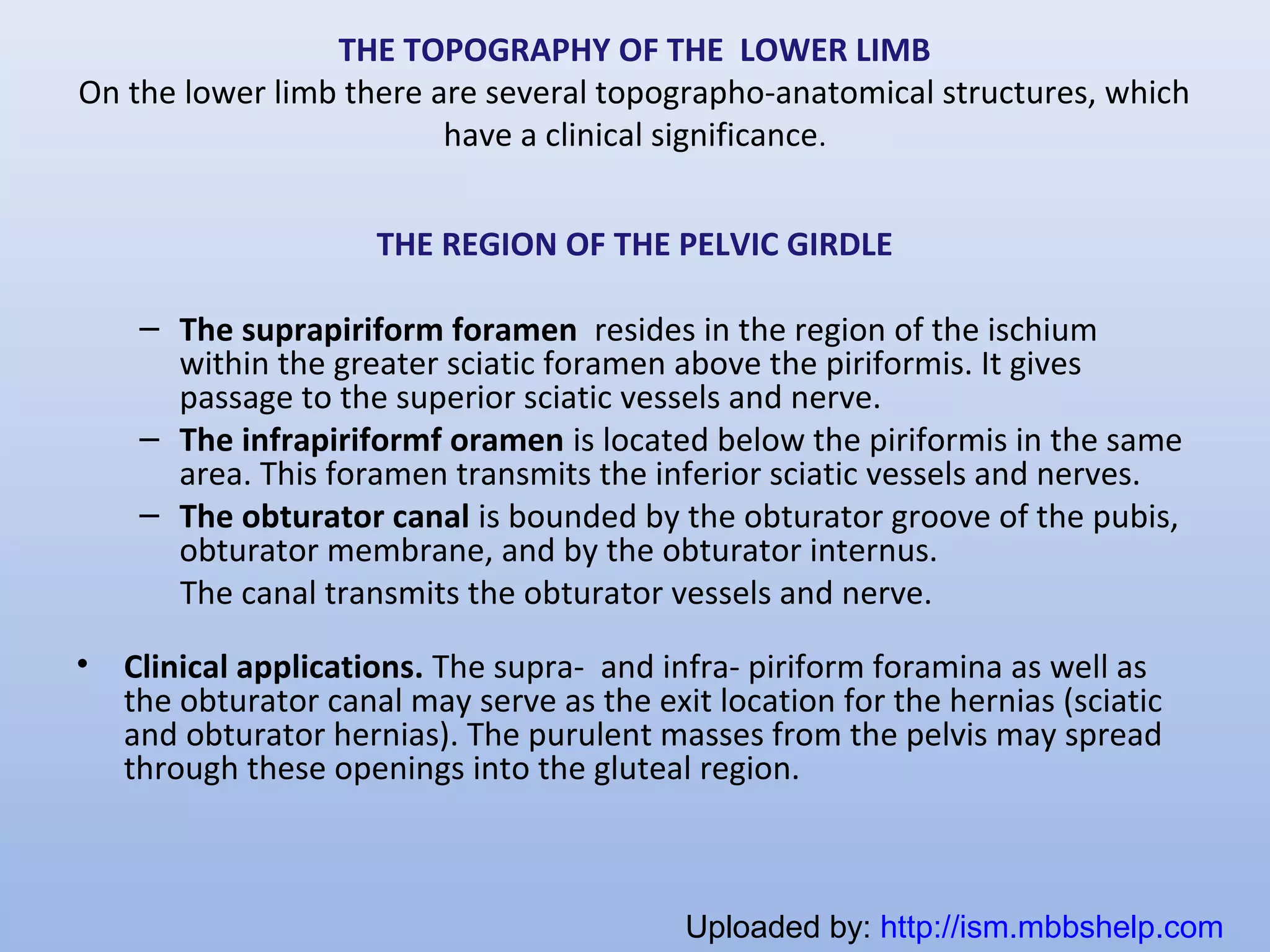 Muscles and Topography of the Upper and Lower Limb | PPT