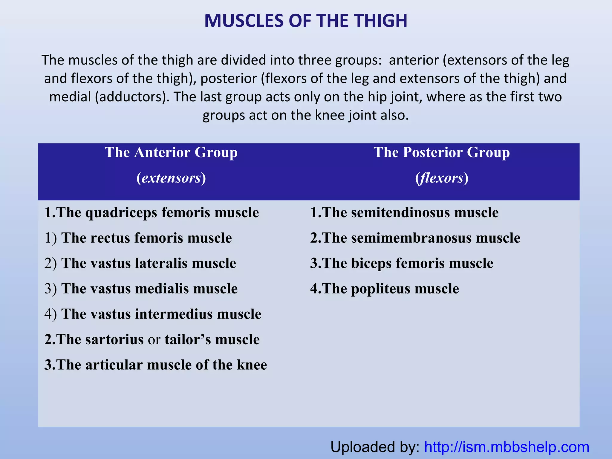 Muscles and Topography of the Upper and Lower Limb | PPT