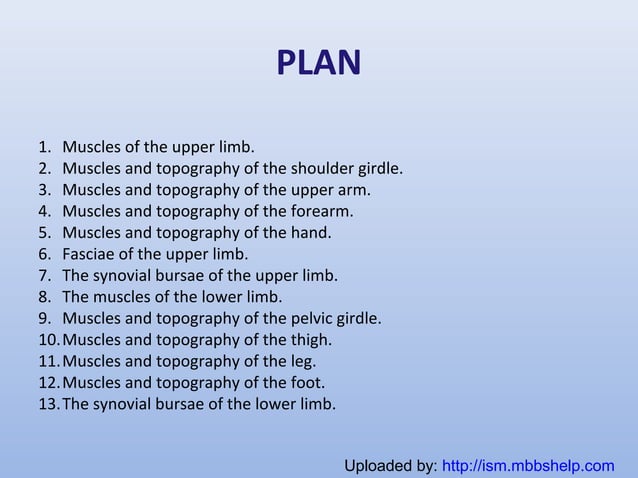 Muscles and Topography of the Upper and Lower Limb | PPT