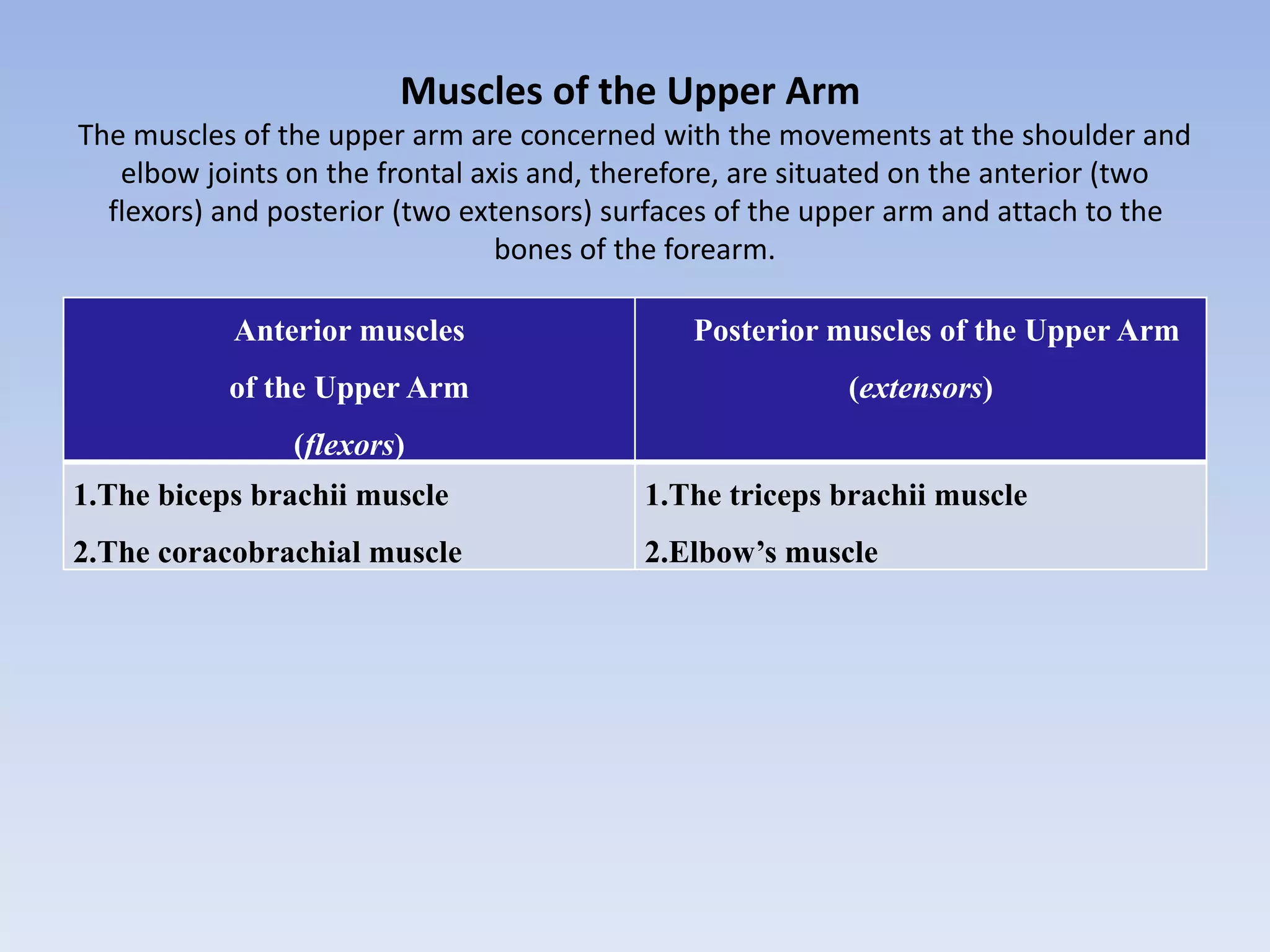 MUSCLES of the limbs.ppt