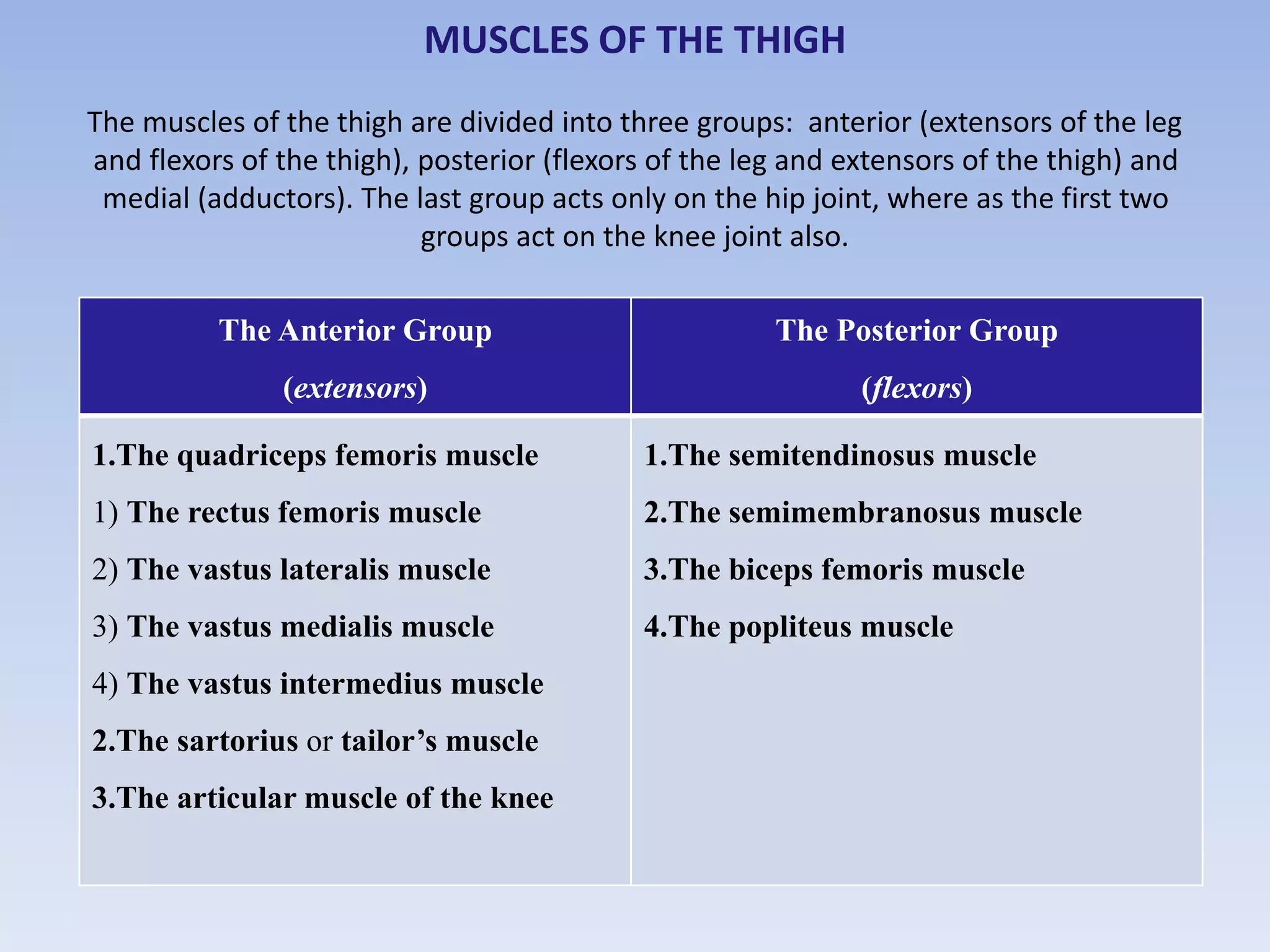 MUSCLES of the limbs.ppt