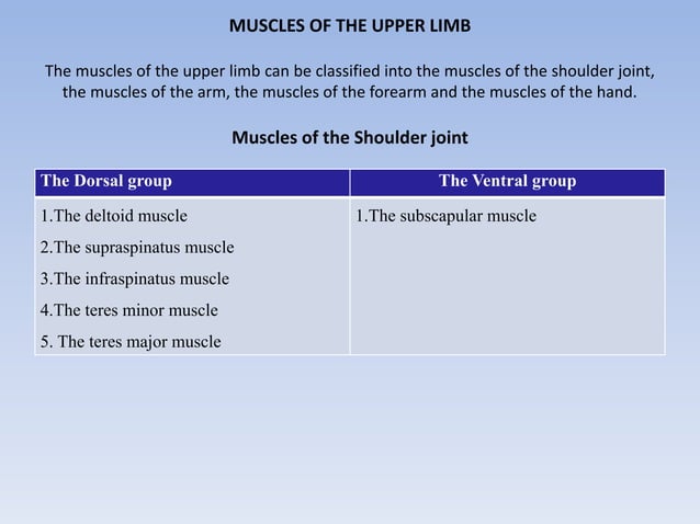 MUSCLES of the limbs.ppt