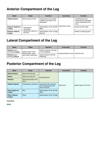 Muscles of the lower limb | PDF
