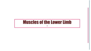 Muscles of the Lower Limb -Revision.pptx