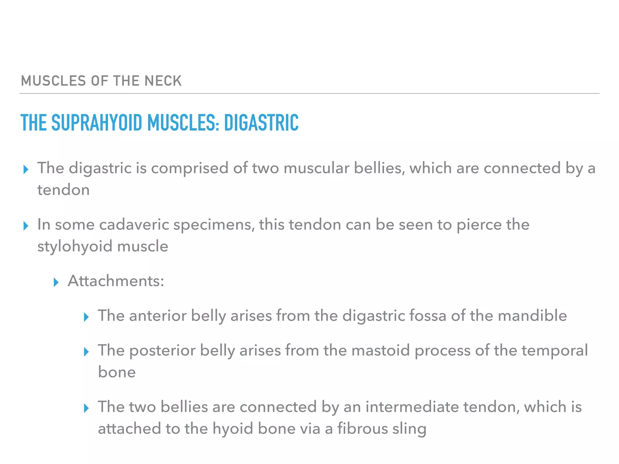Muscles of the neck | PDF