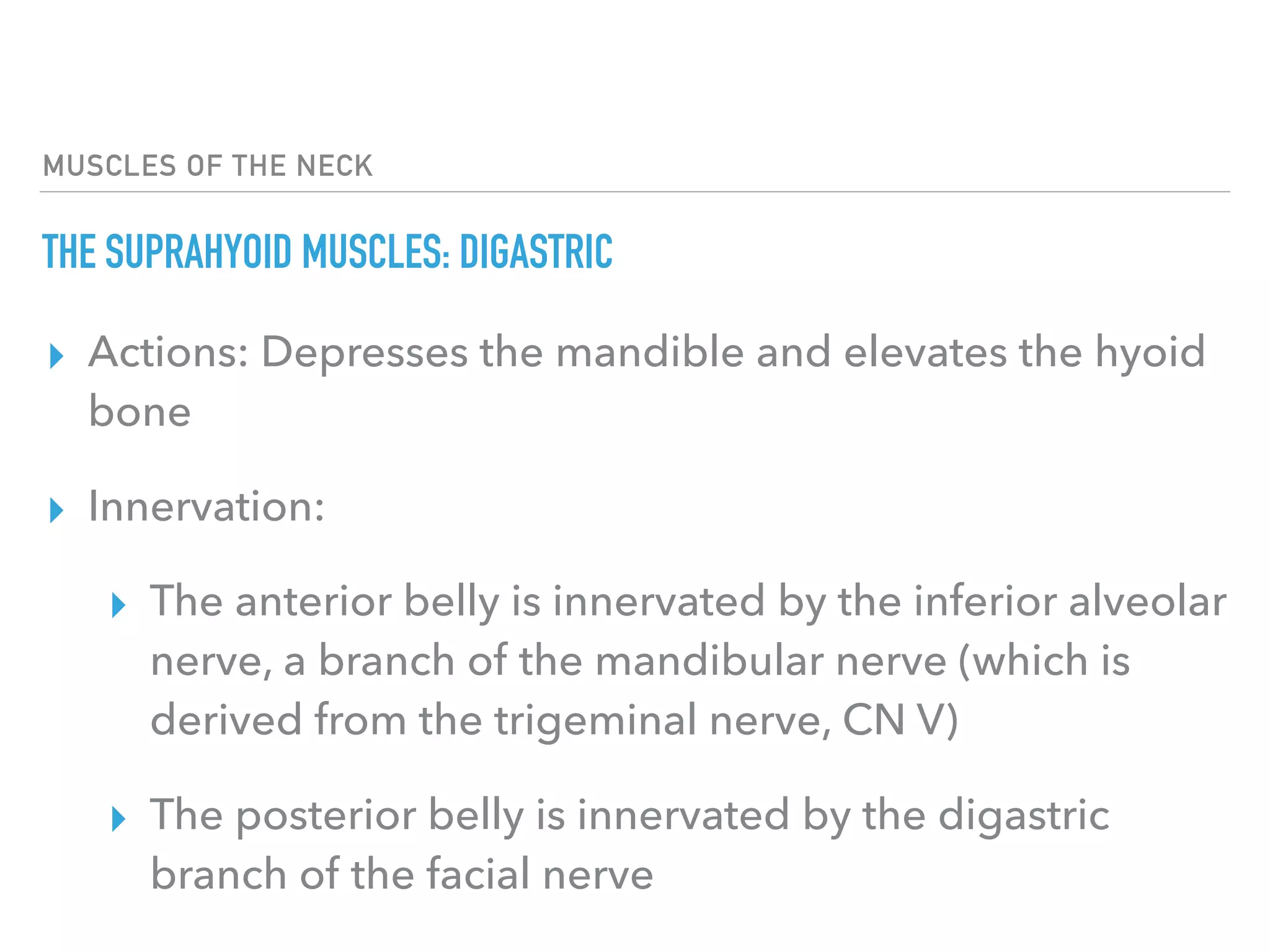 Muscles of the neck | PDF