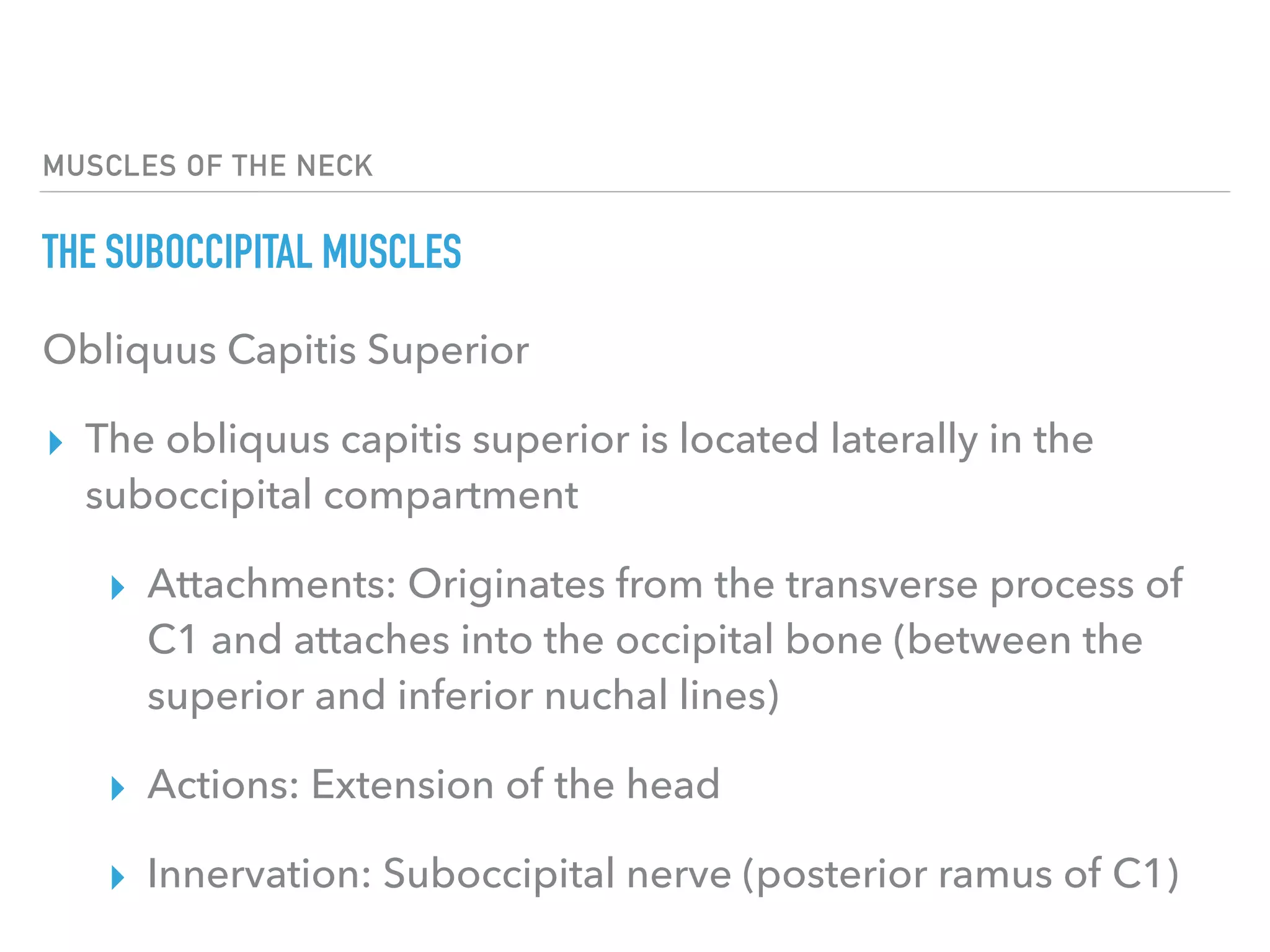 Muscles of the neck | PDF