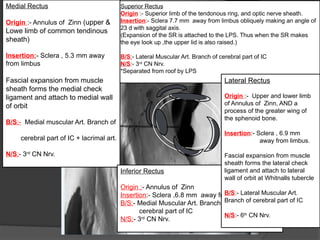 MUSCLES OF THE ORBIT and their significance | PPTX