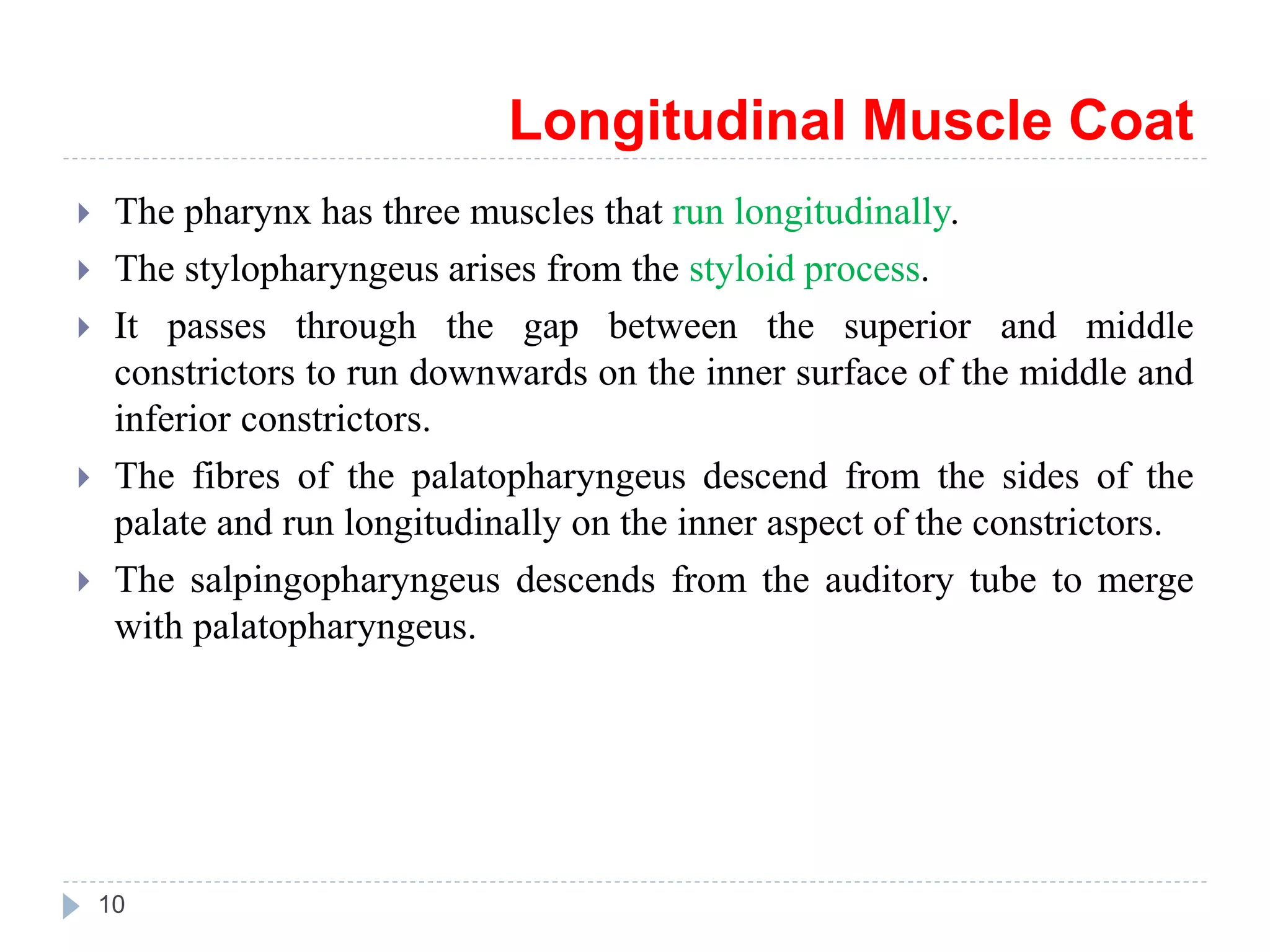 MUSCLES OF THE PHARYNX. | PPTX